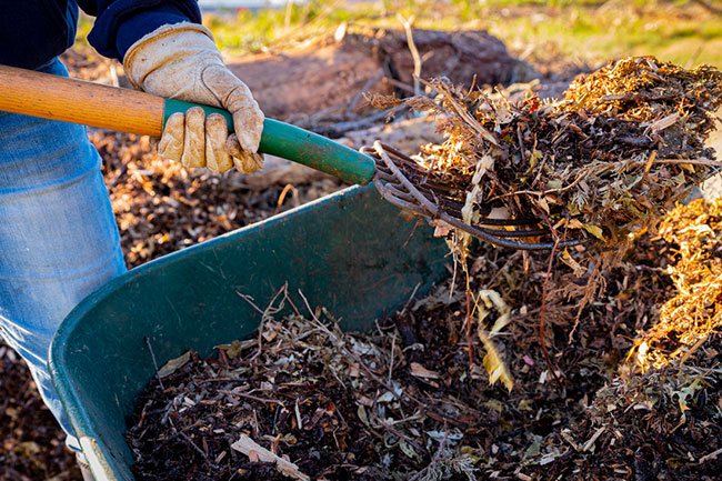 Sustainable Landscaping with Recycled Mulch Products for Sale | Todco Inc.