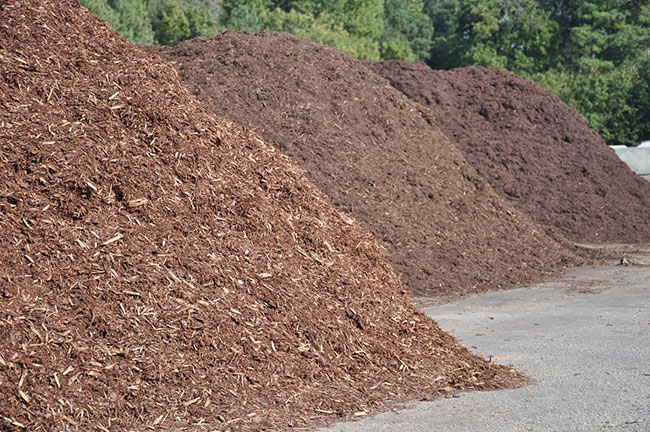 Which Landscaping Products Are Right for Your Project? [infographic ...