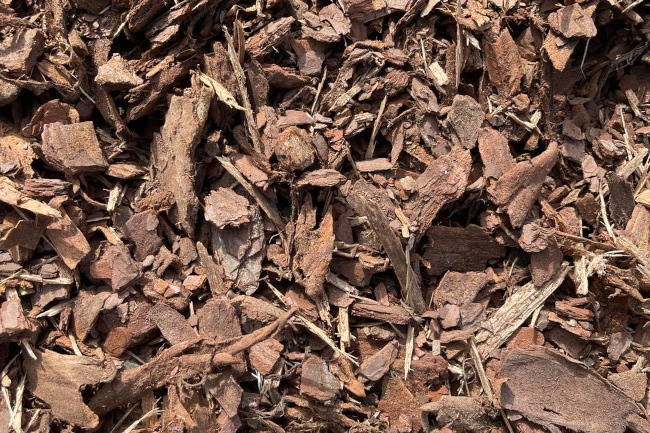The Beauty of Wood Chips and Their Simple Maintenance | Todco Inc.