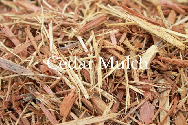 4 Benefits of Using Cedar Mulch | Todco Inc.